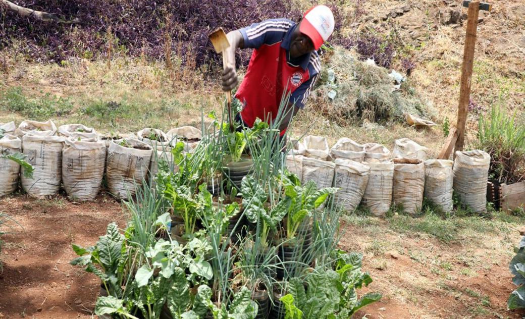 Save the Children | USAID ADVANCING NUTRITION PARTNERS WITH KENYAN ... Save the Children | USAID ADVANCING NUTRITION PARTNERS WITH KENYAN ...